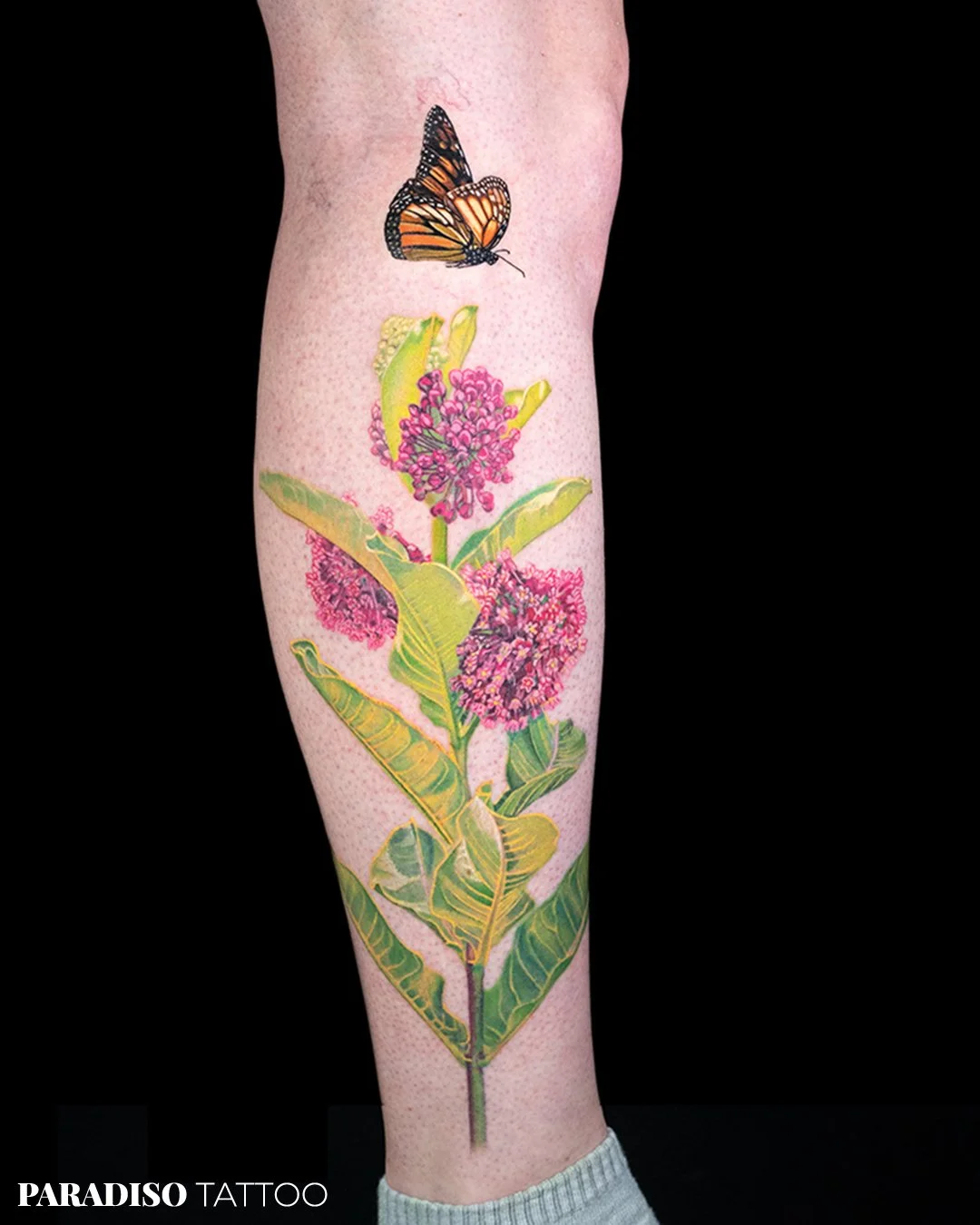 Colour — Paradiso Tattoo