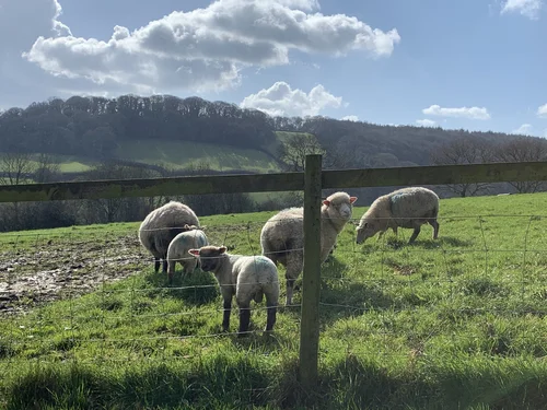 Devon, England: Better Than the Cotswolds (And Far Less Crowded ...