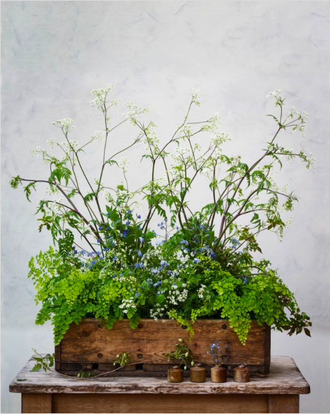 Natural Spring Centerpieces Inspired by Floral Experts — Sense of Spencer