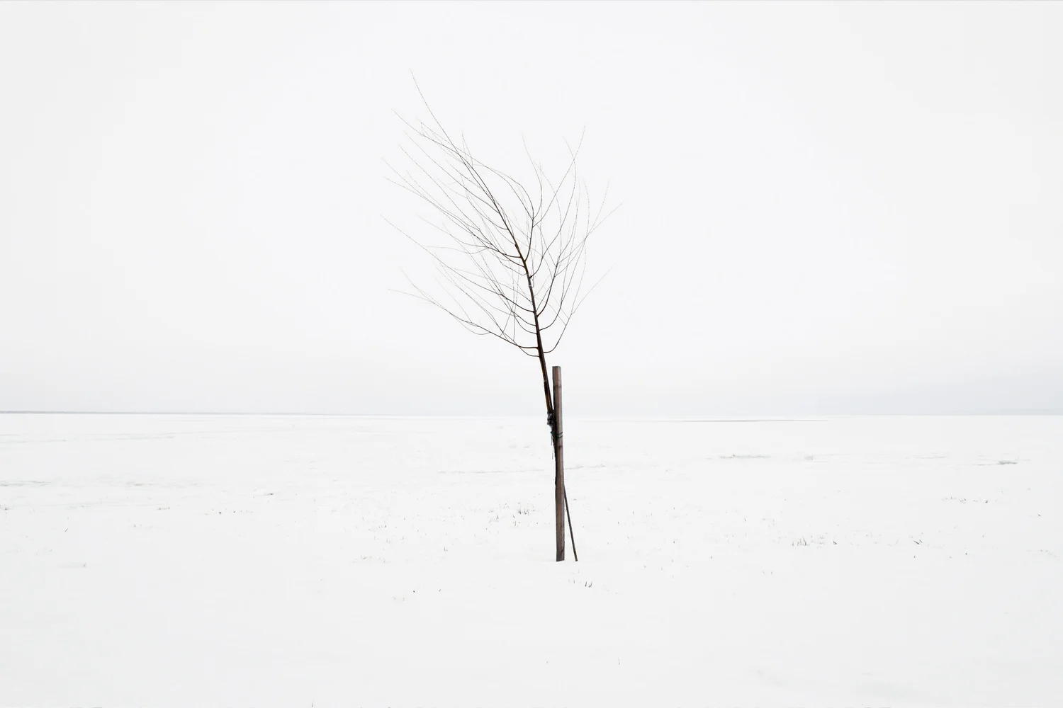 Contact — Kap Paper