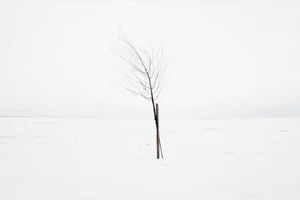 Contact — altPOWER