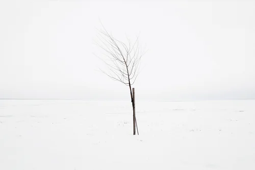 Contact — Kap Paper