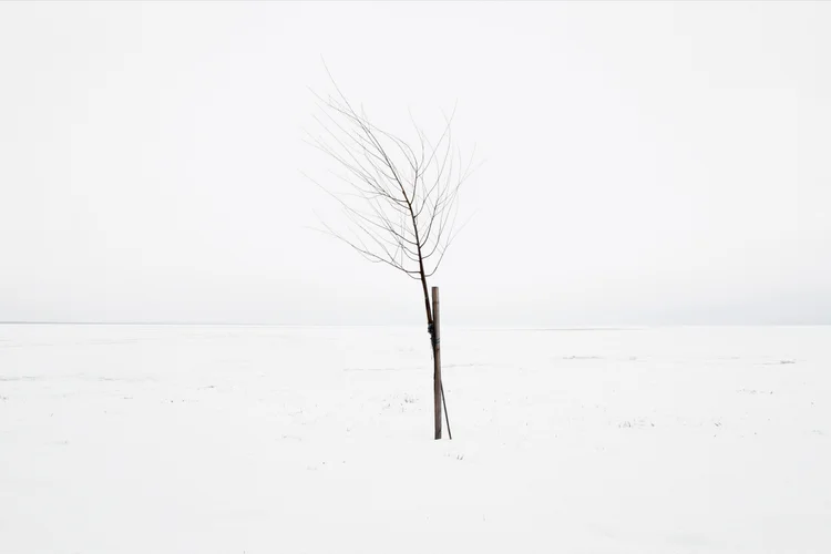 Contact — Kap Paper