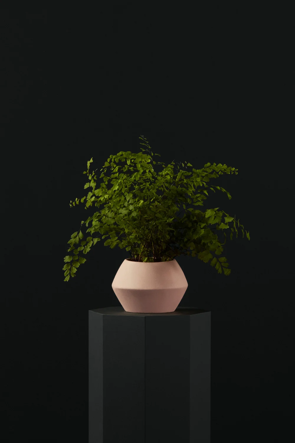 Shop — Wellborn Musclecar Museum