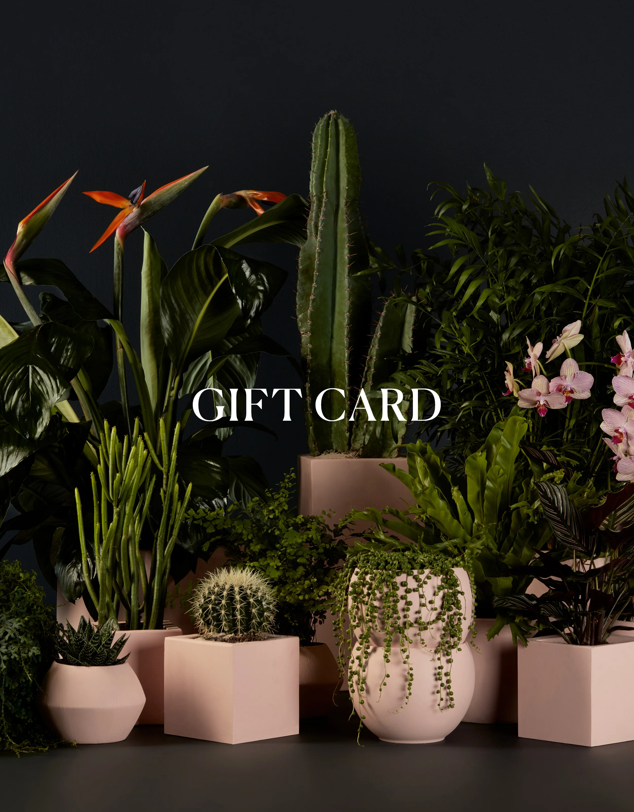 URBAN FARMER DIRECT