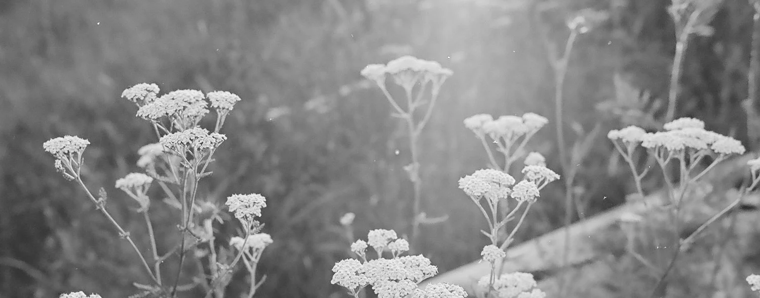 Embrace Clinic | Support Survivors - Get Help Now — The Beacon