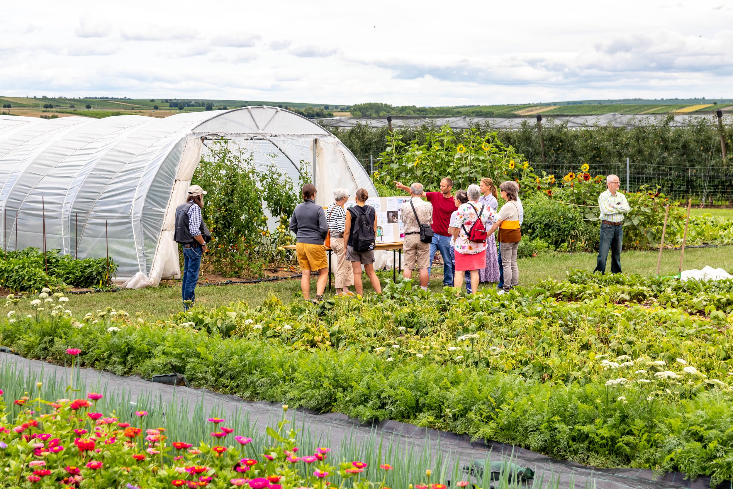 Resident Volunteer Program — Bruderhof