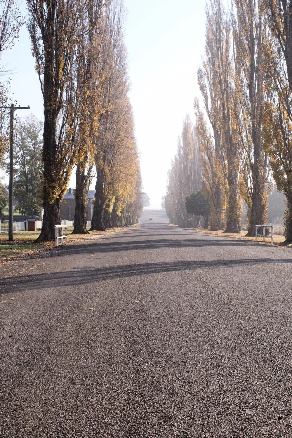 Our town Taralga