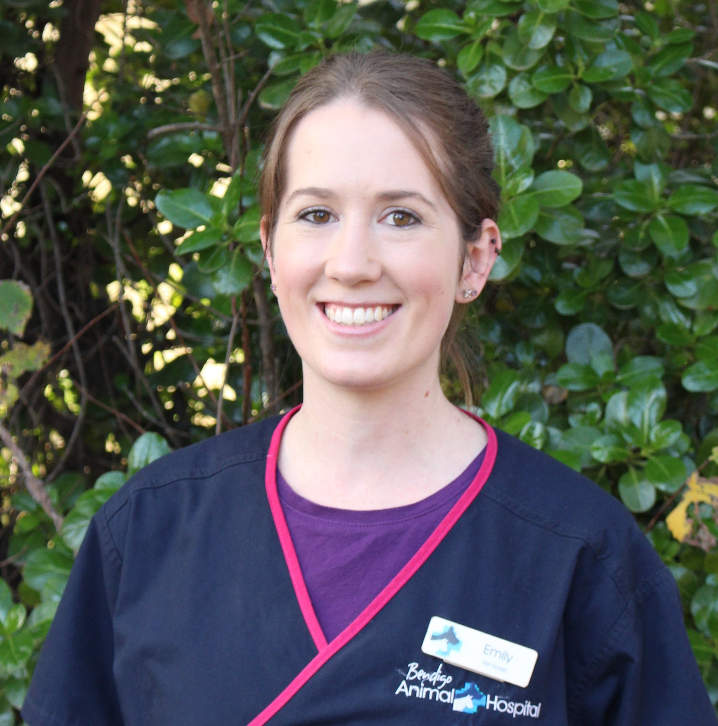 meet our staff — Bendigo Animal Hospital