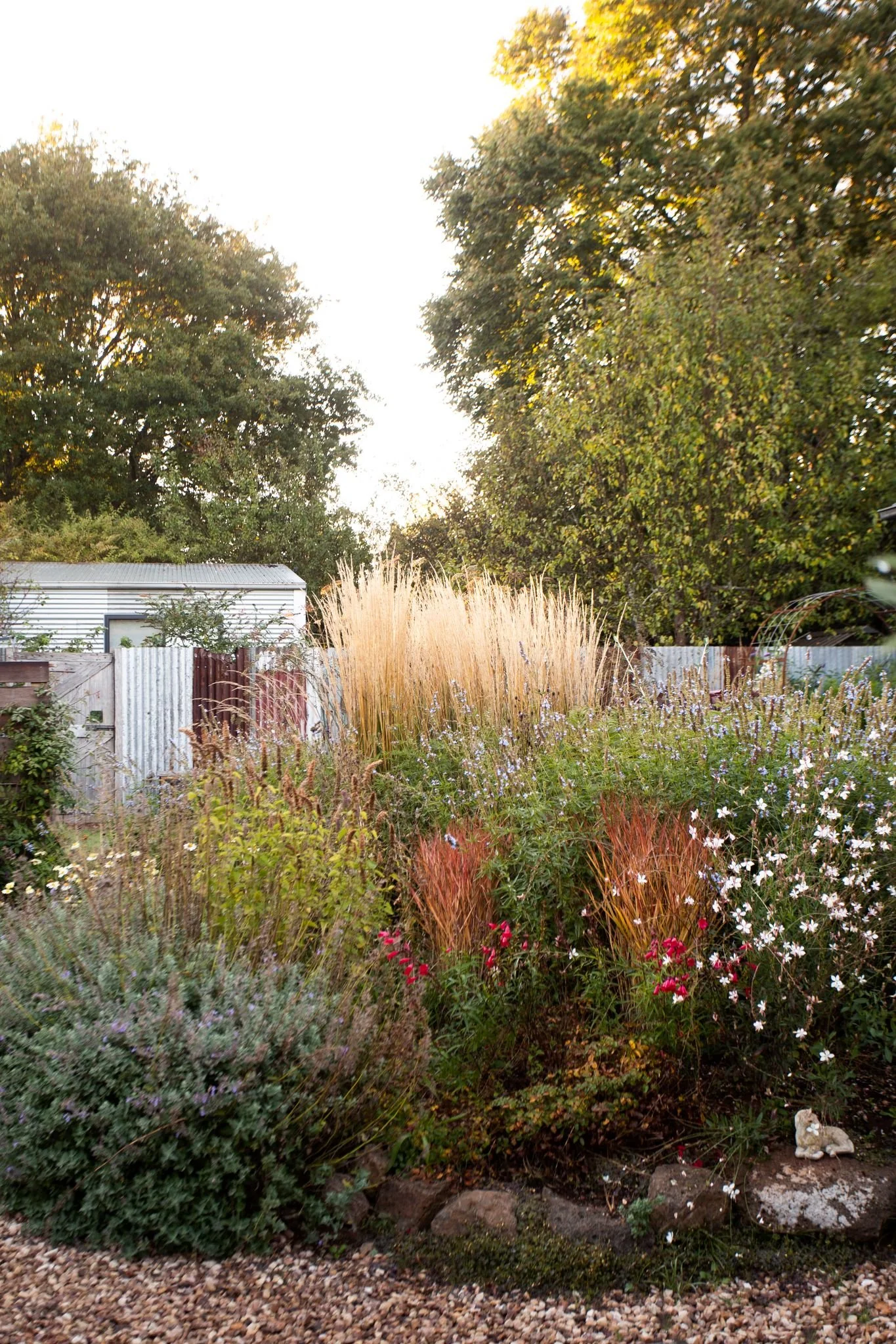 Rhonda's Garden — Tim Pilgrim