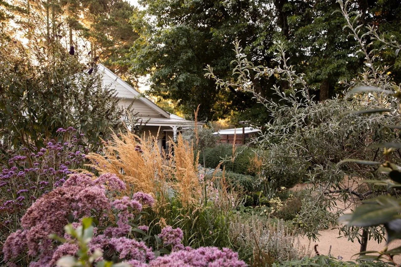 Oak Cottage — Tim Pilgrim Gardens