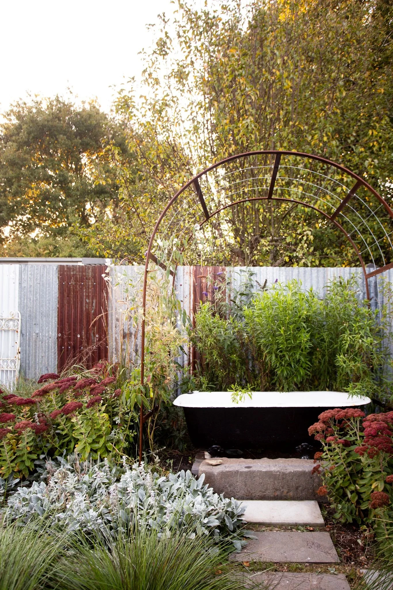 Rhonda's Garden — Tim Pilgrim Gardens