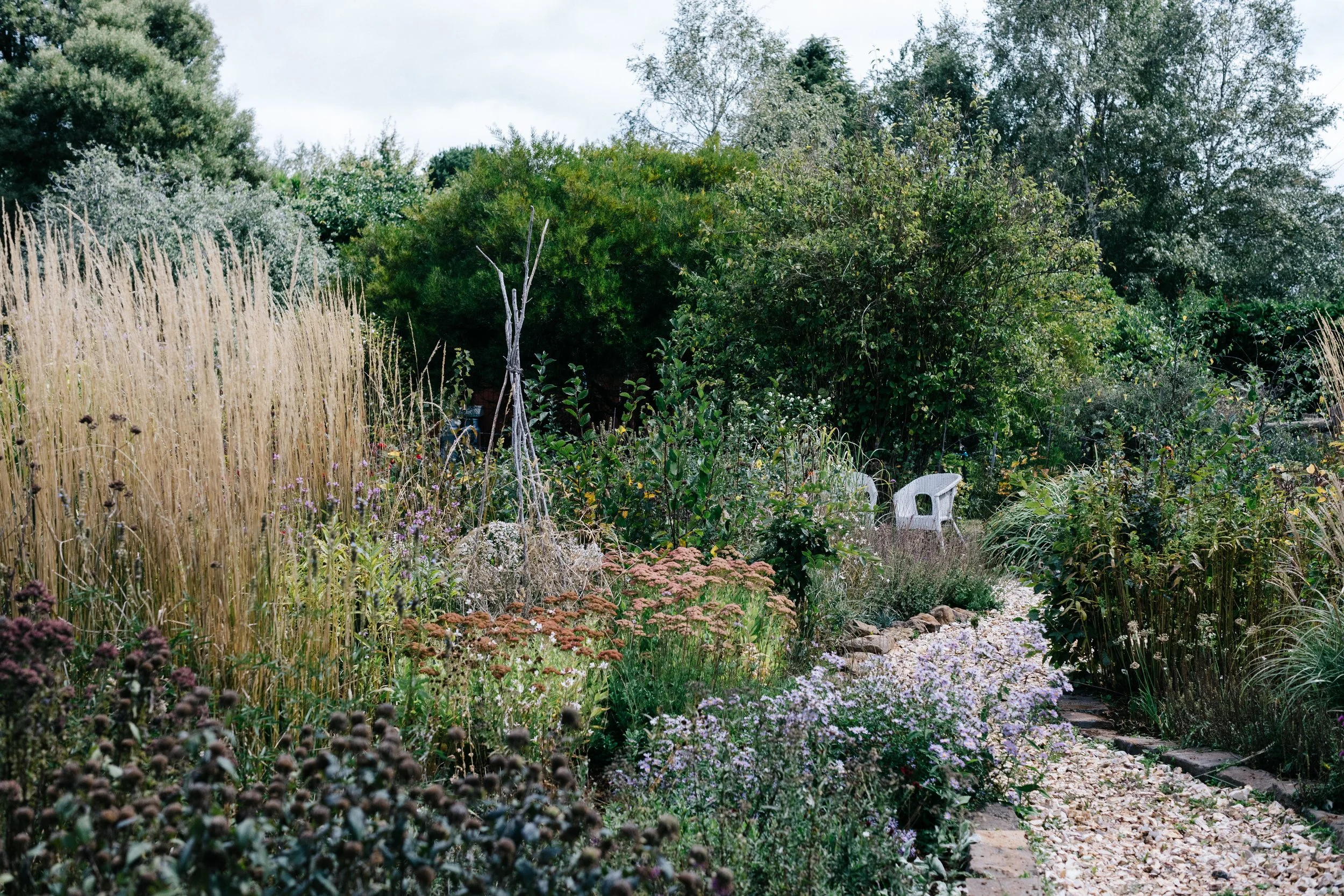 Tim Pilgrim Gardens