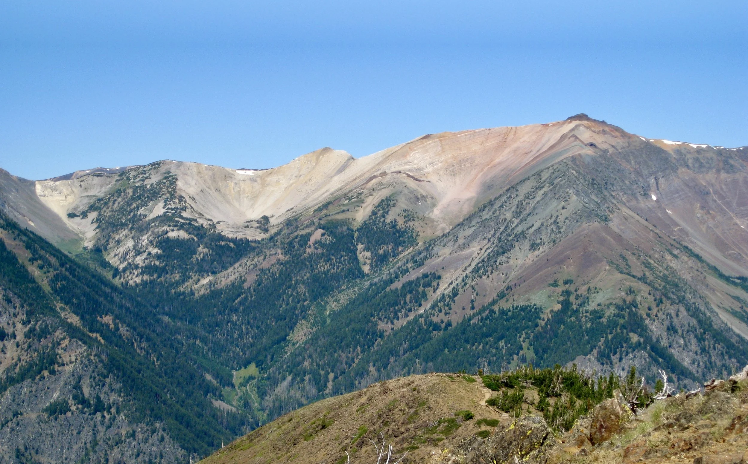 Vision — Oregon Origins Project