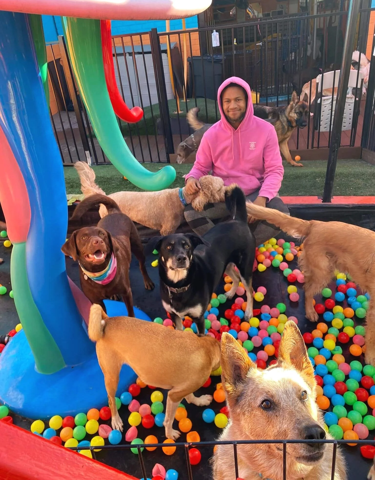 South Park Doggie Waterland Lax