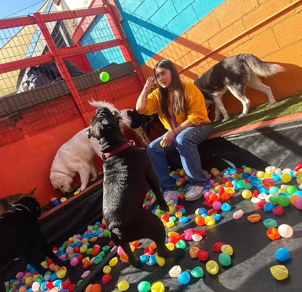 South Park Doggie Waterland Lax