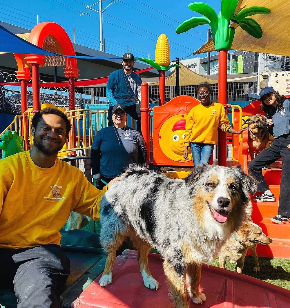 South Park Doggie Waterland Lax