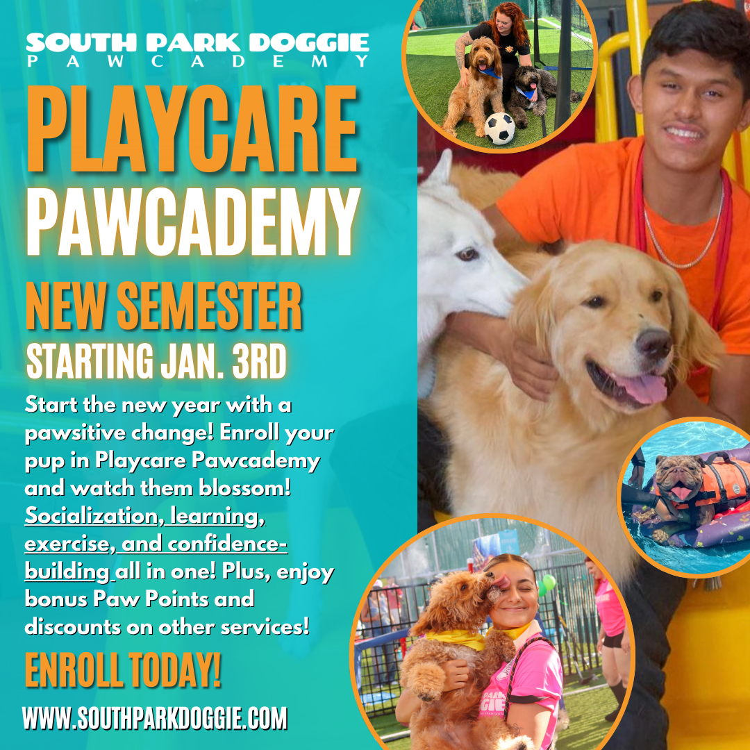 South Park Doggie Waterland Lax