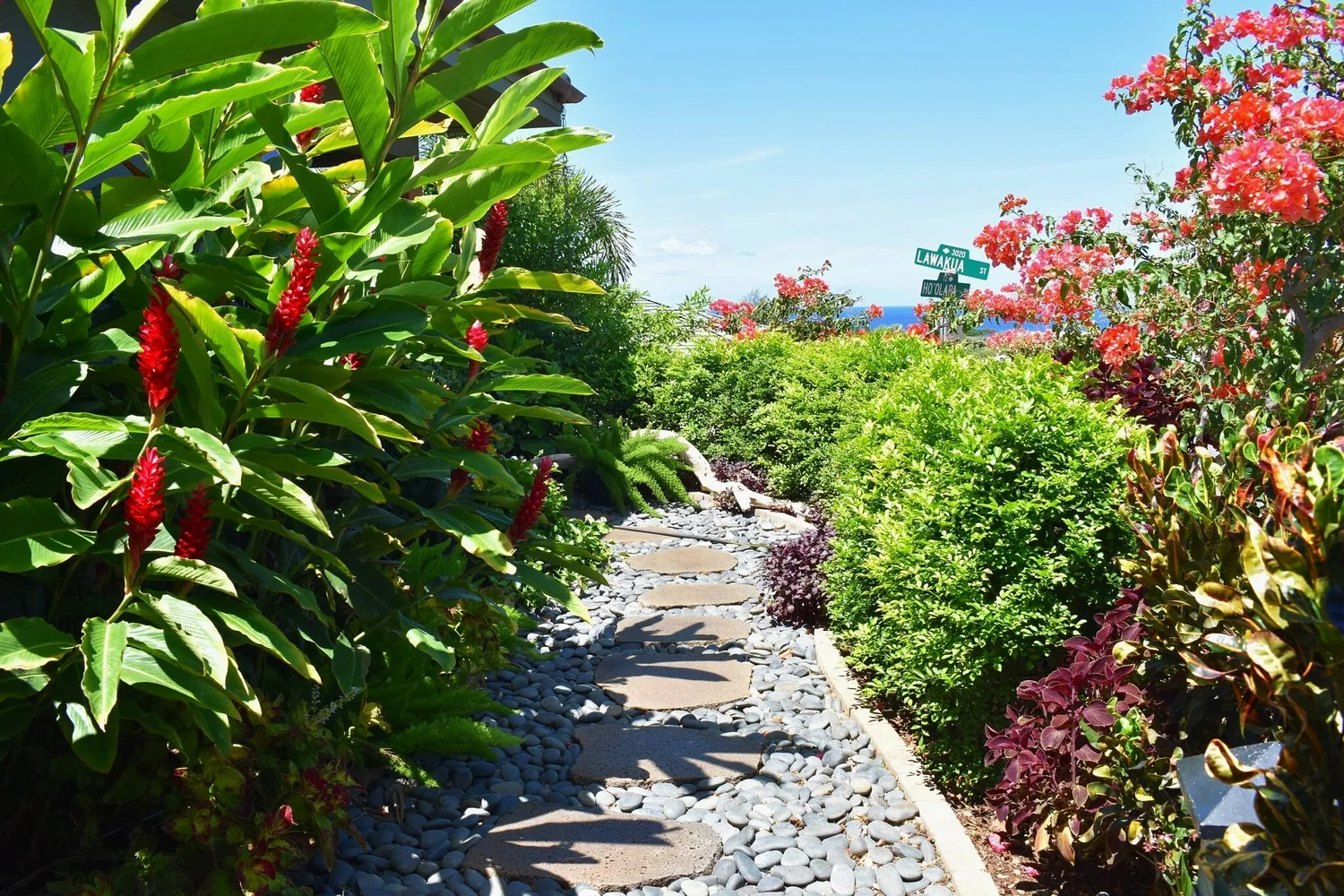 Portfolio — Maui Landscape Design