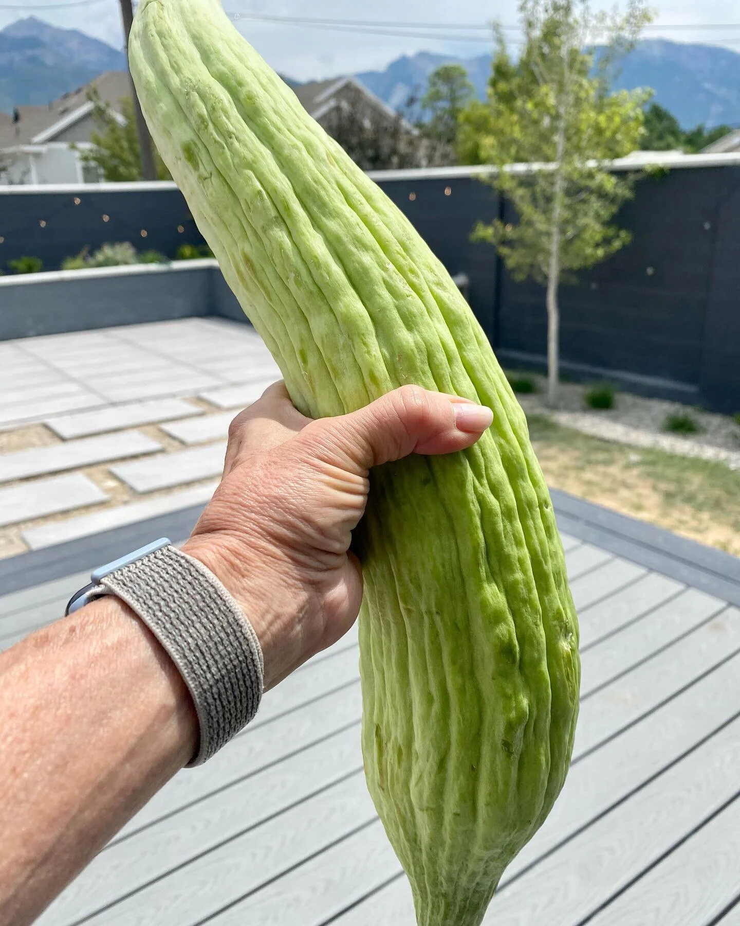 Miami Performance Nutritionist and Coach | Lisa Dorfman, The Running ...