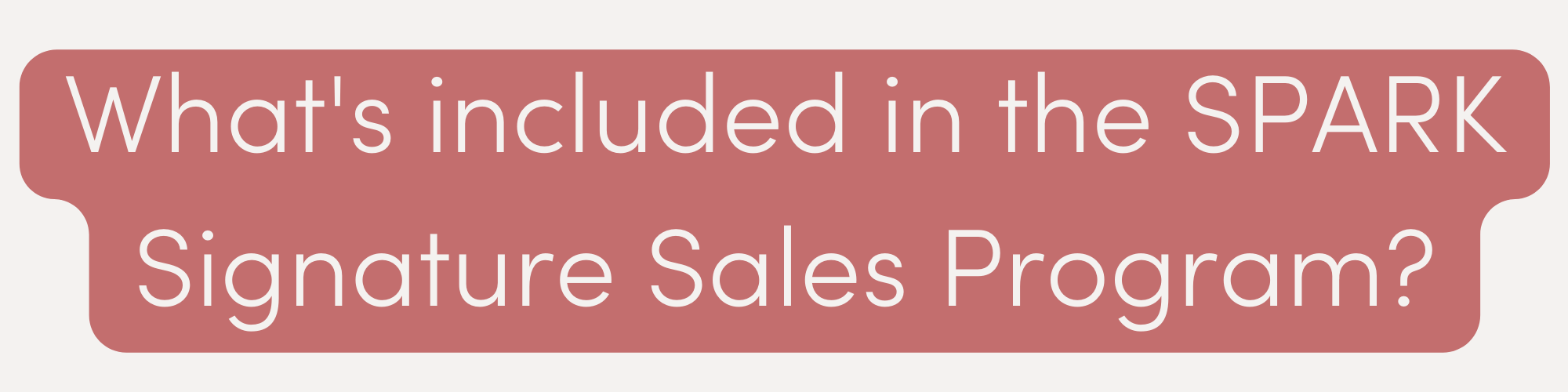 sort-your-sales-sh*t-out Program — SPARK