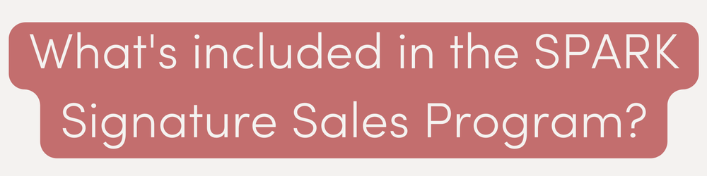sort-your-sales-sh*t-out Program — SPARK