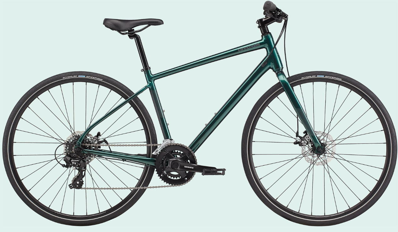 Fast Lane Bike Shop Recreational Bikes — Fast Lane Bike Shop