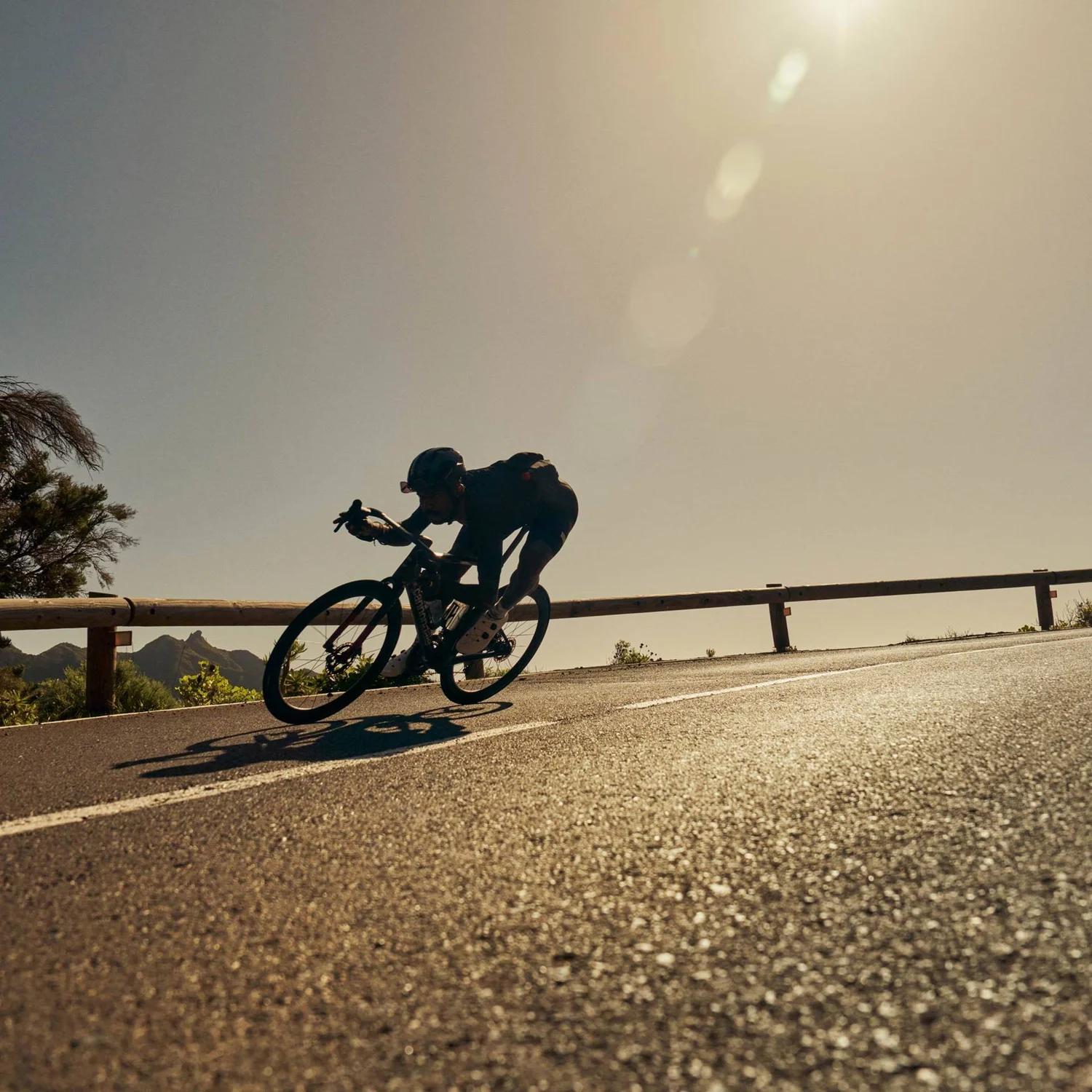 Road Bikes — Fast Lane Bike Shop