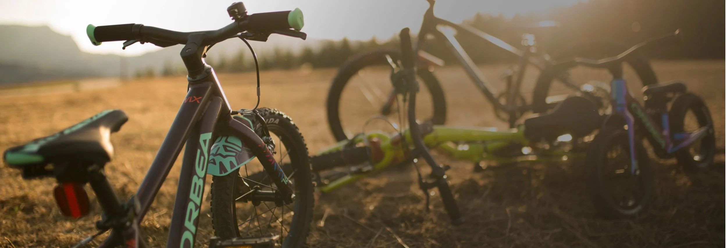 Fast Lane Bike Shop