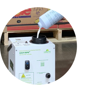 Downloads | Catalytic Generators