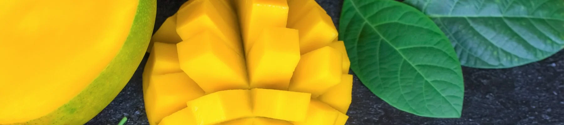 Blog | Catalytic Generators