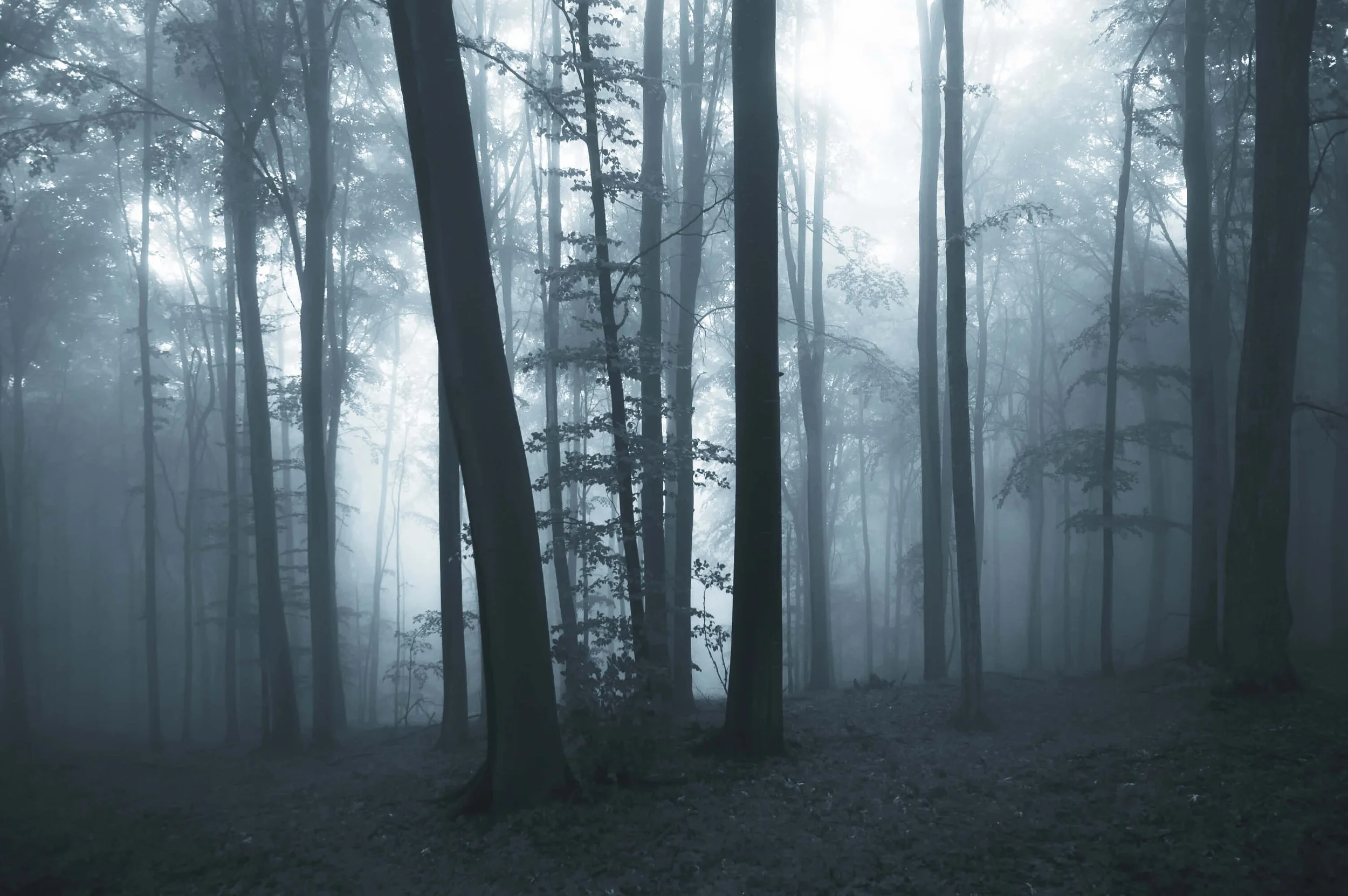 Store — Valhalore