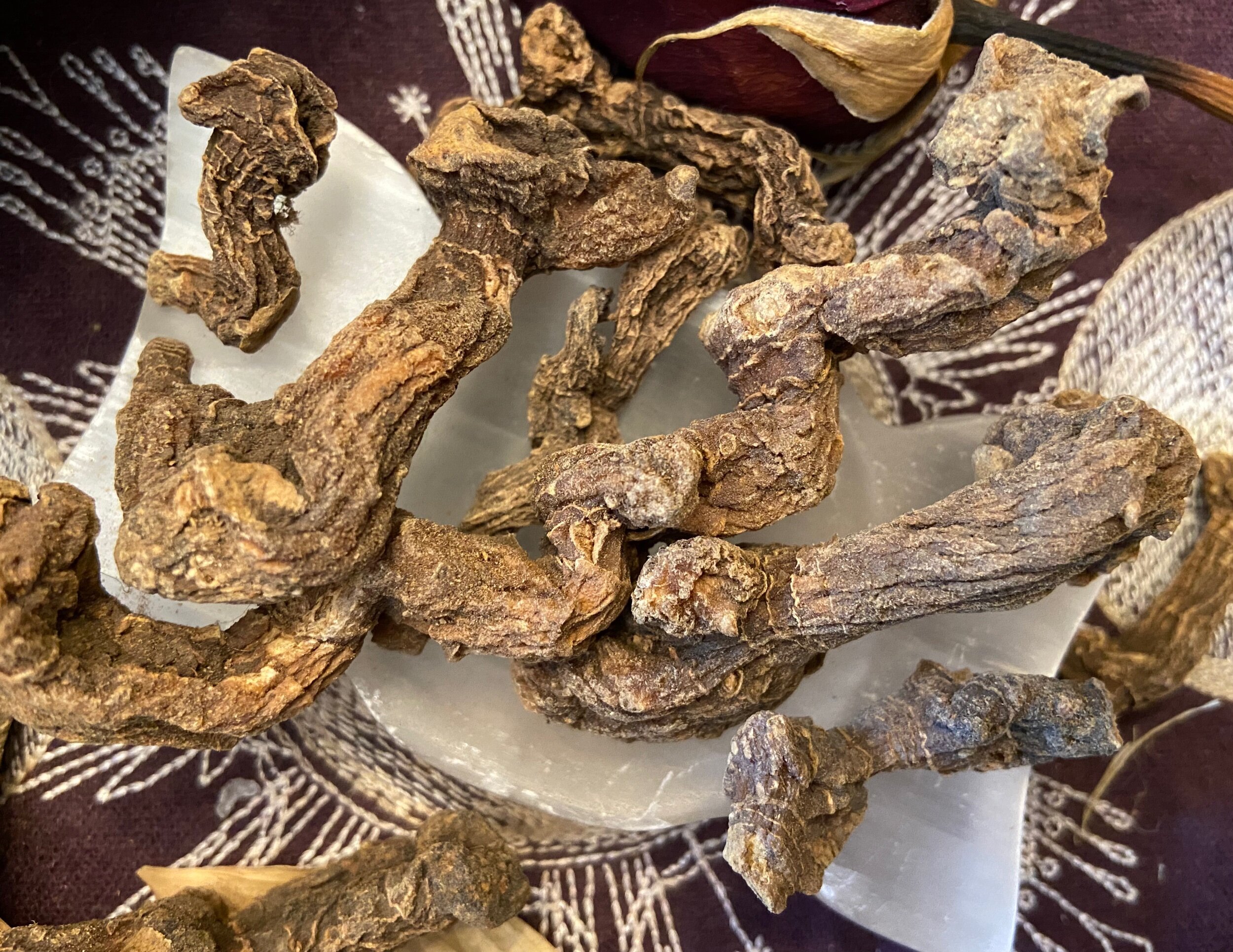 Fleece Flower Root, Sex, Longevity, Energy, Binding, Sealing Intent ...