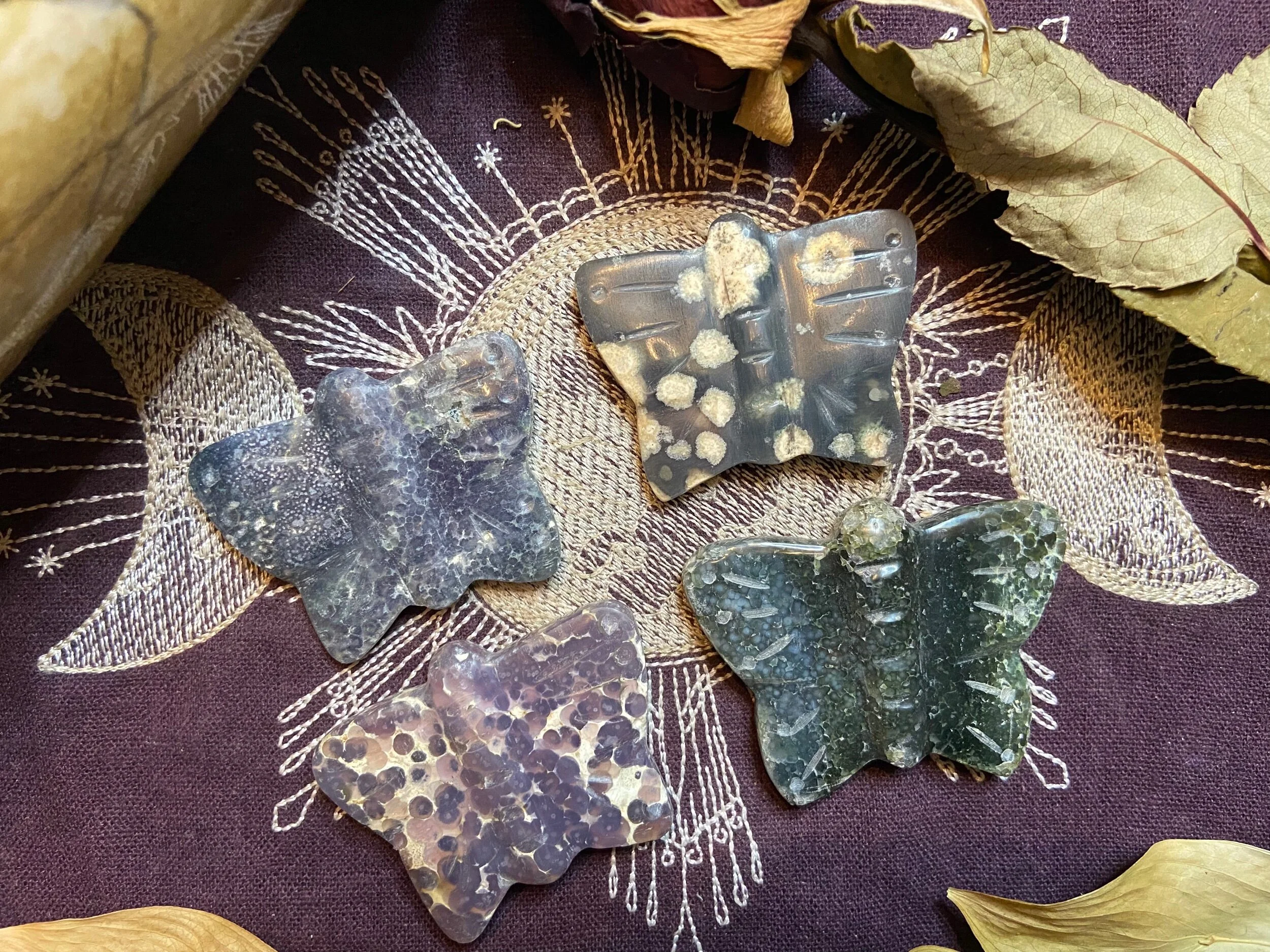 Fossil Palm Root Crescent Moon, Fossil Palm Root Moon, All Natural ...