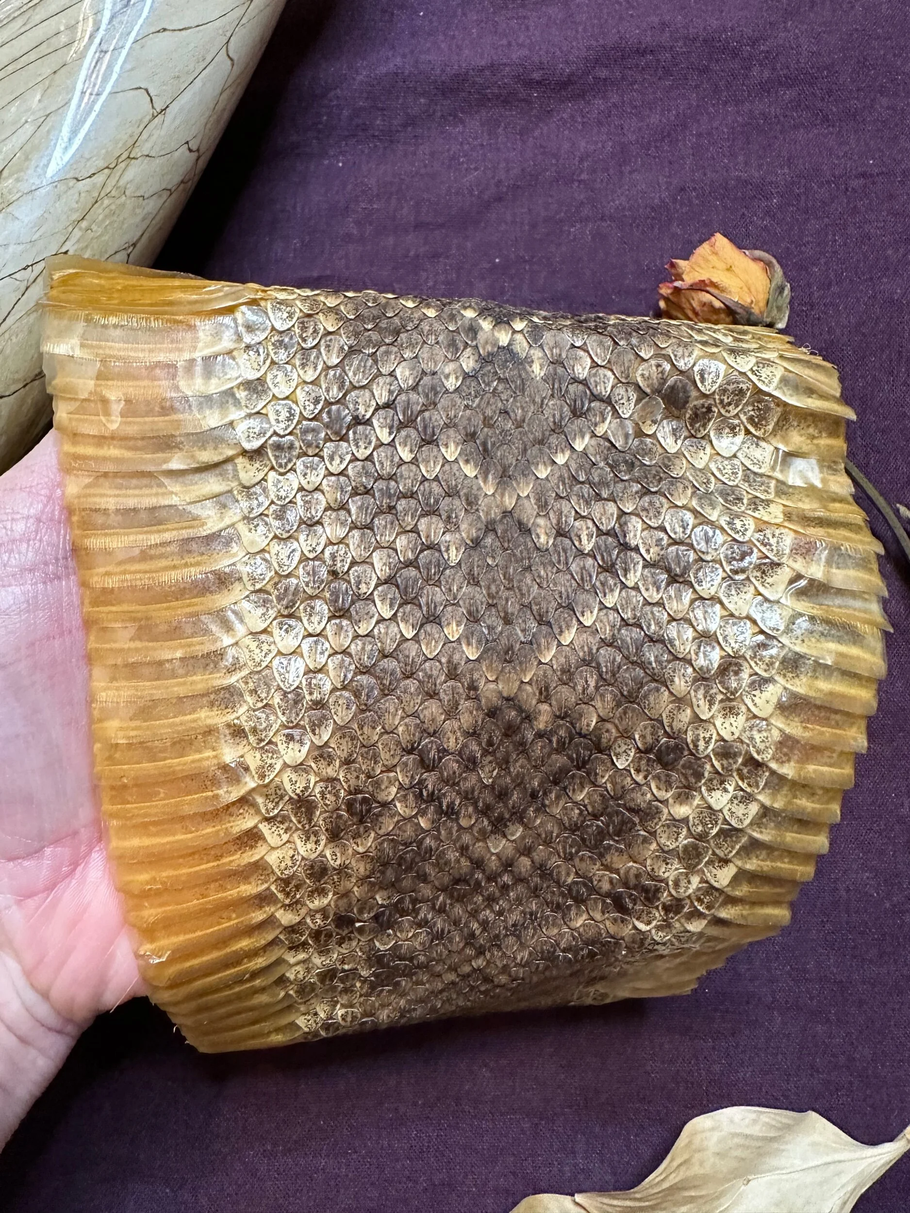 High Quality Dragons Blood Resin Powder and Chunks, All Natural, Dried ...