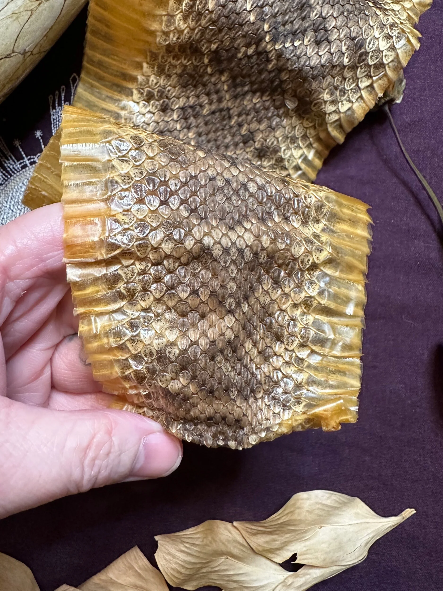 High Quality Dragons Blood Resin Powder and Chunks, All Natural, Dried ...