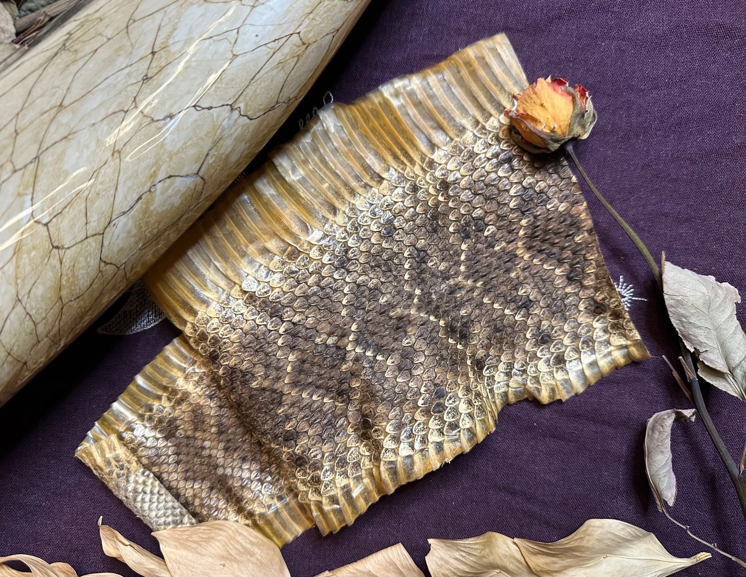 High Quality Dragons Blood Resin Powder and Chunks, All Natural, Dried ...