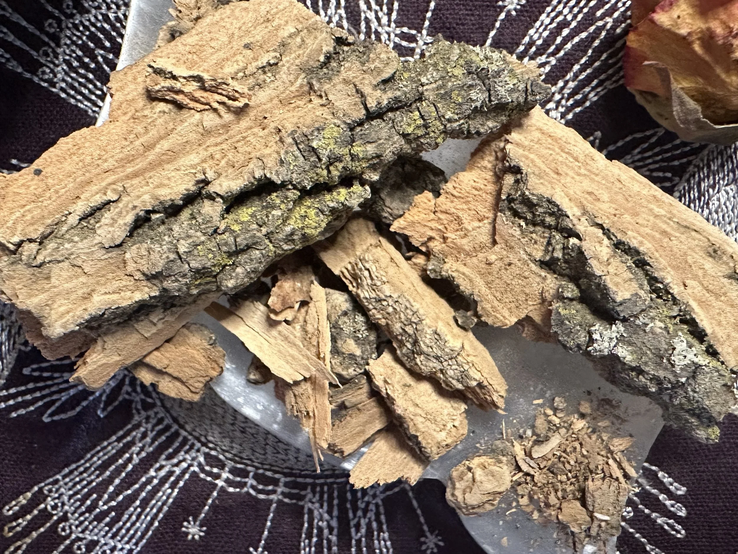 Elder Bark, Life Energy, Creativity, Death Tree, Ward Off Evil, Protect ...