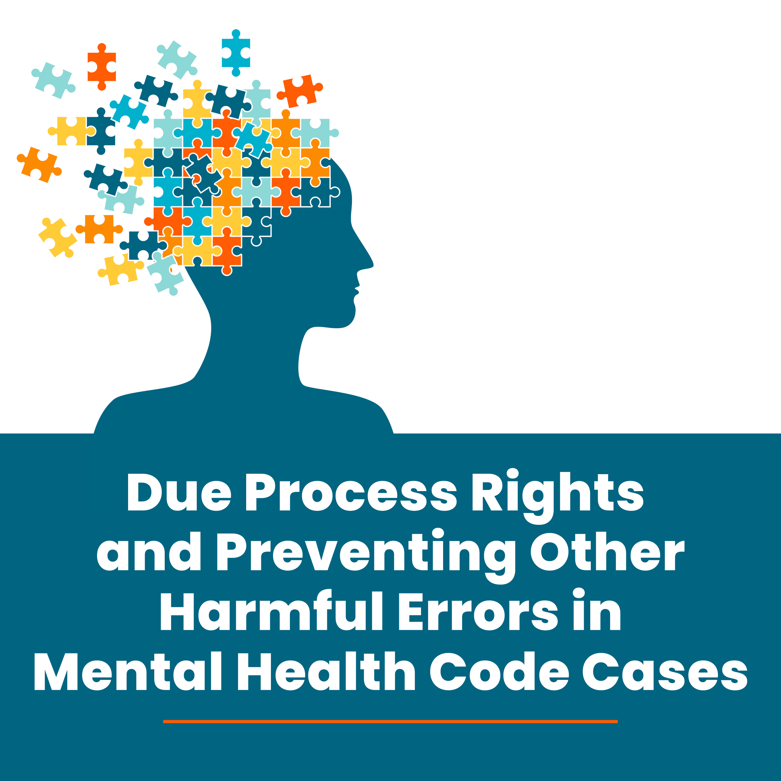 Mental Health Code — Speaker Law Firm