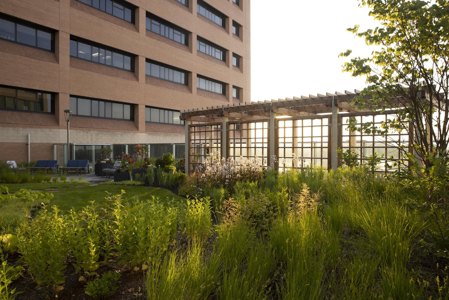 Carle Foundation Hospital