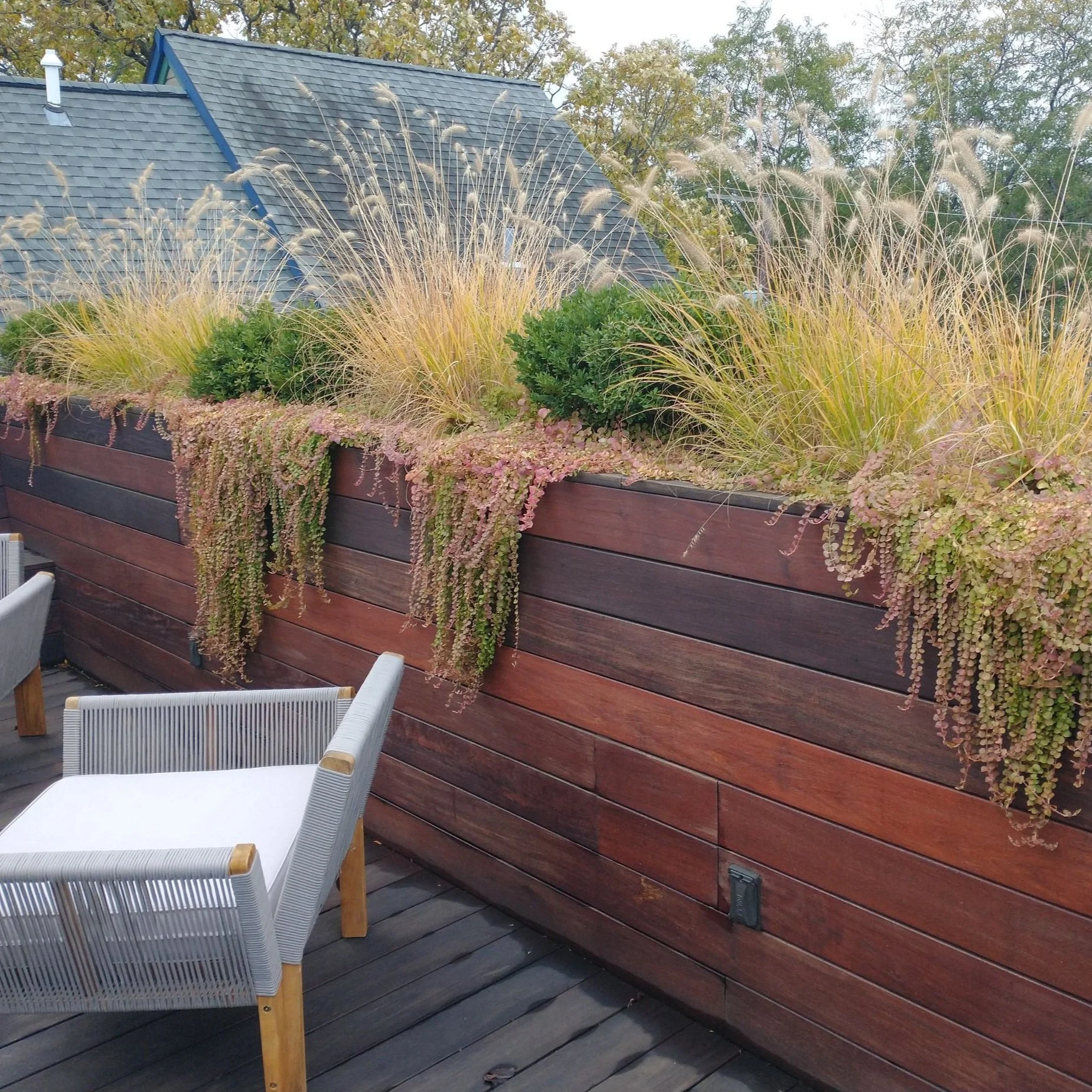 Planters with Omni Infinity Media