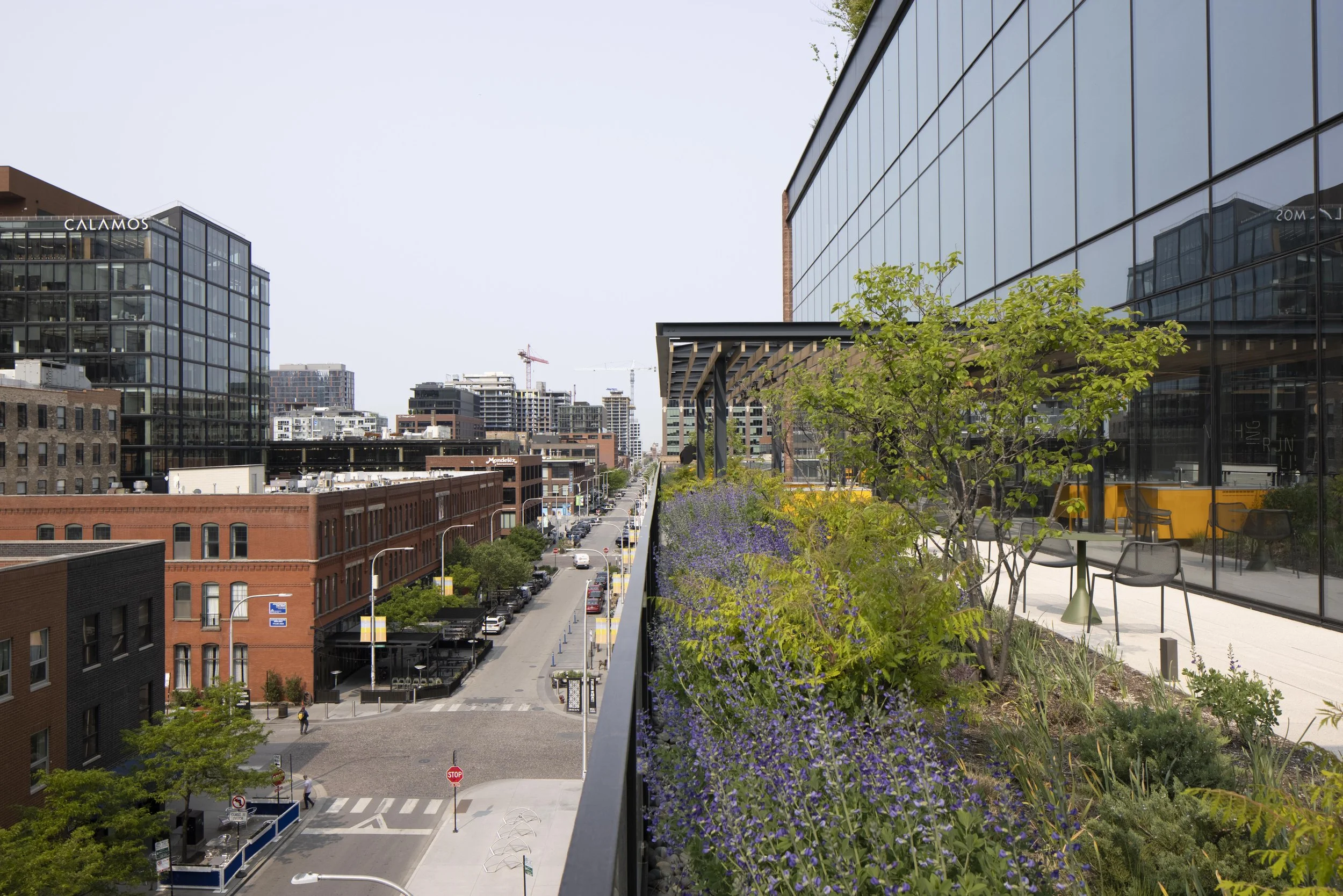 800 Fulton — Omni Ecosystems