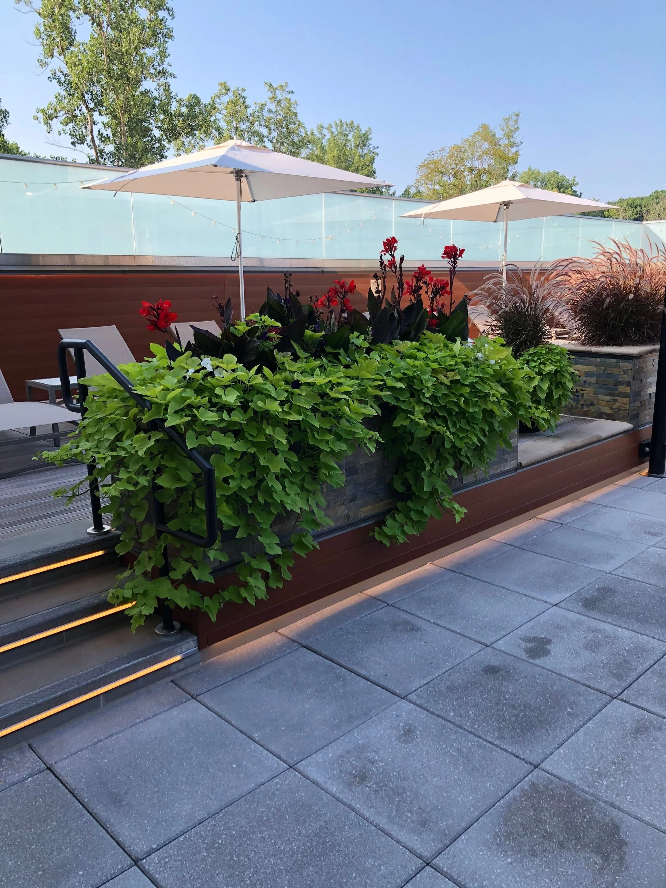 Planters with Omni Infinity Media