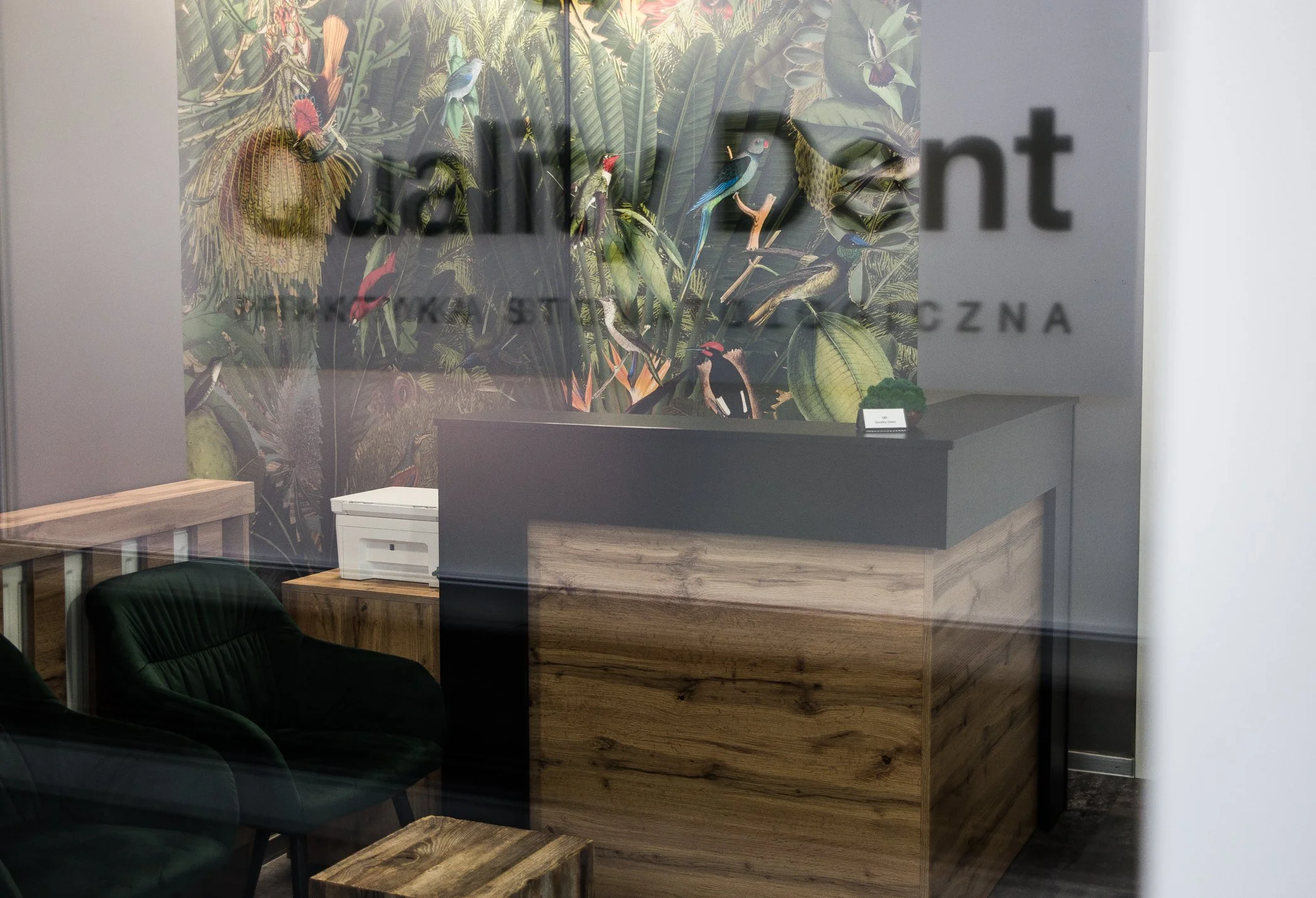 galeria — QD Quality Dent