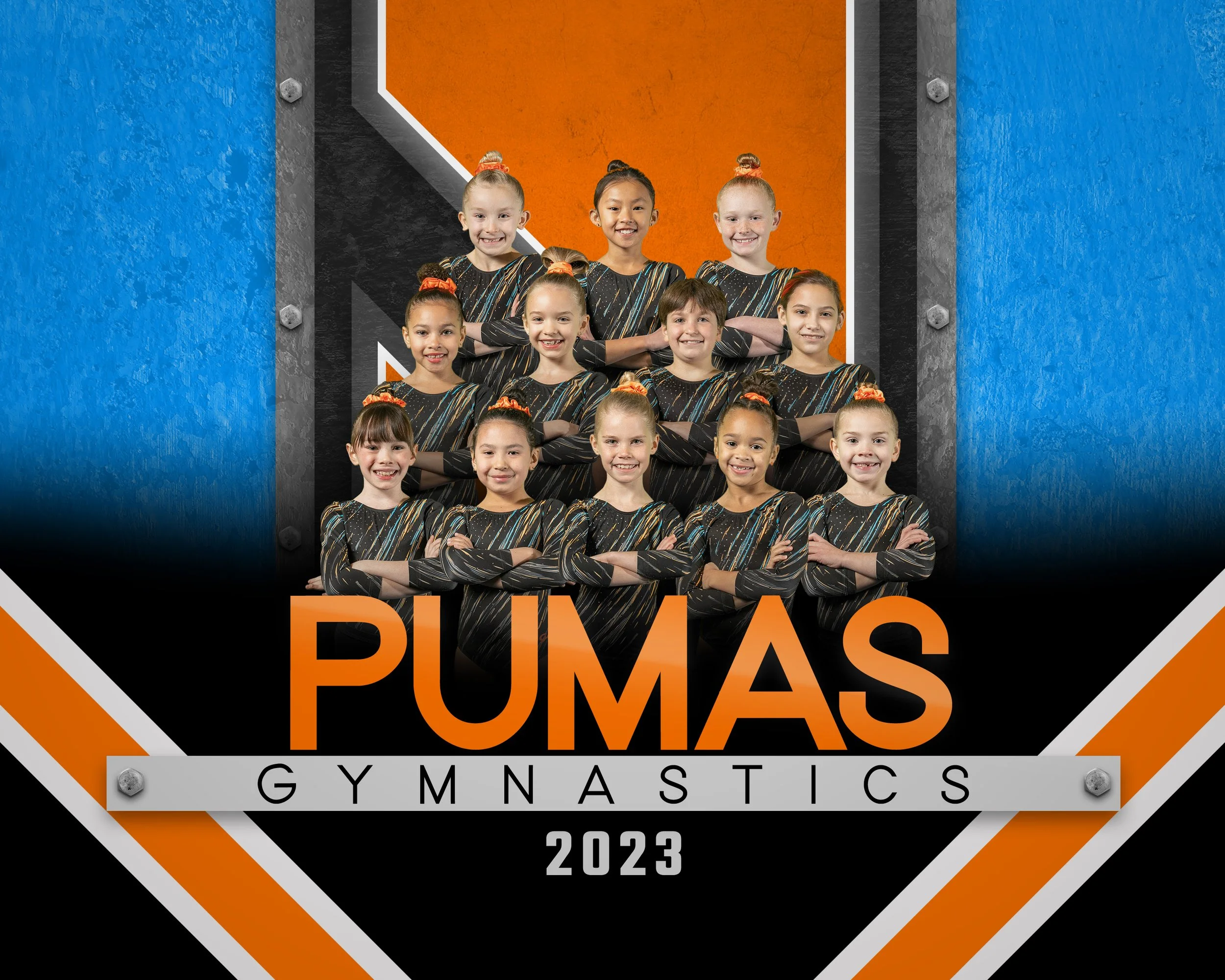 Women's Competitive Team — Champaign Gymnastics Academy