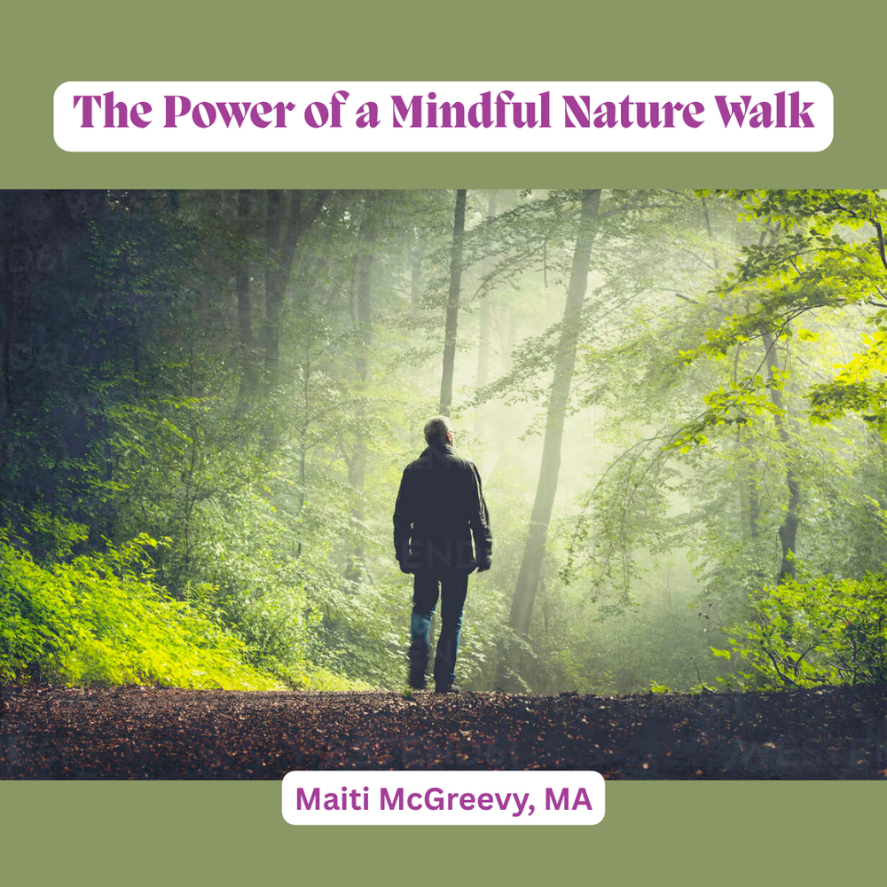 The Power of a Mindful Nature Walk