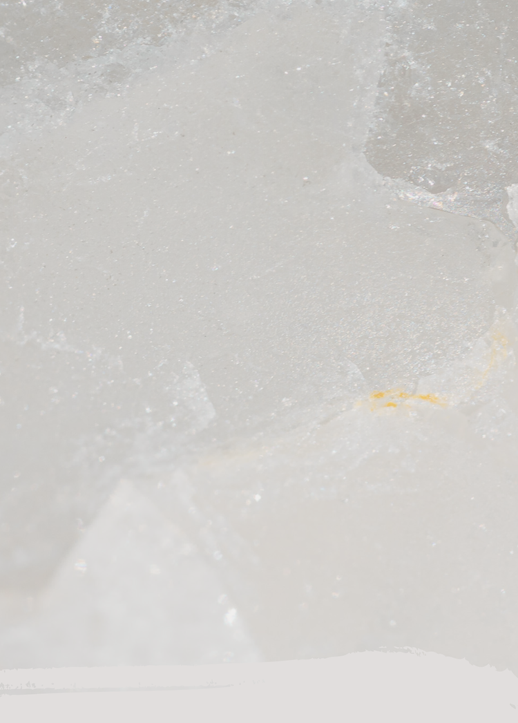 Em Duncan Photography | Alberta Wedding and Lifestyle Photographer