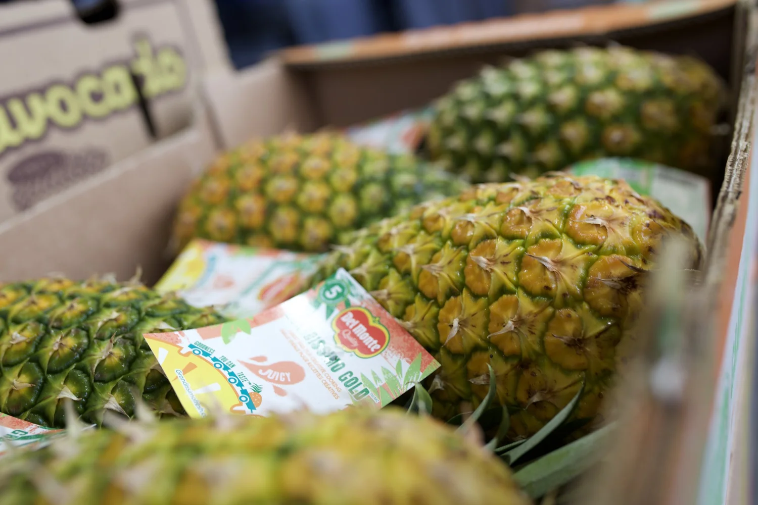 Gallery — Select Fresh Produce Inc.