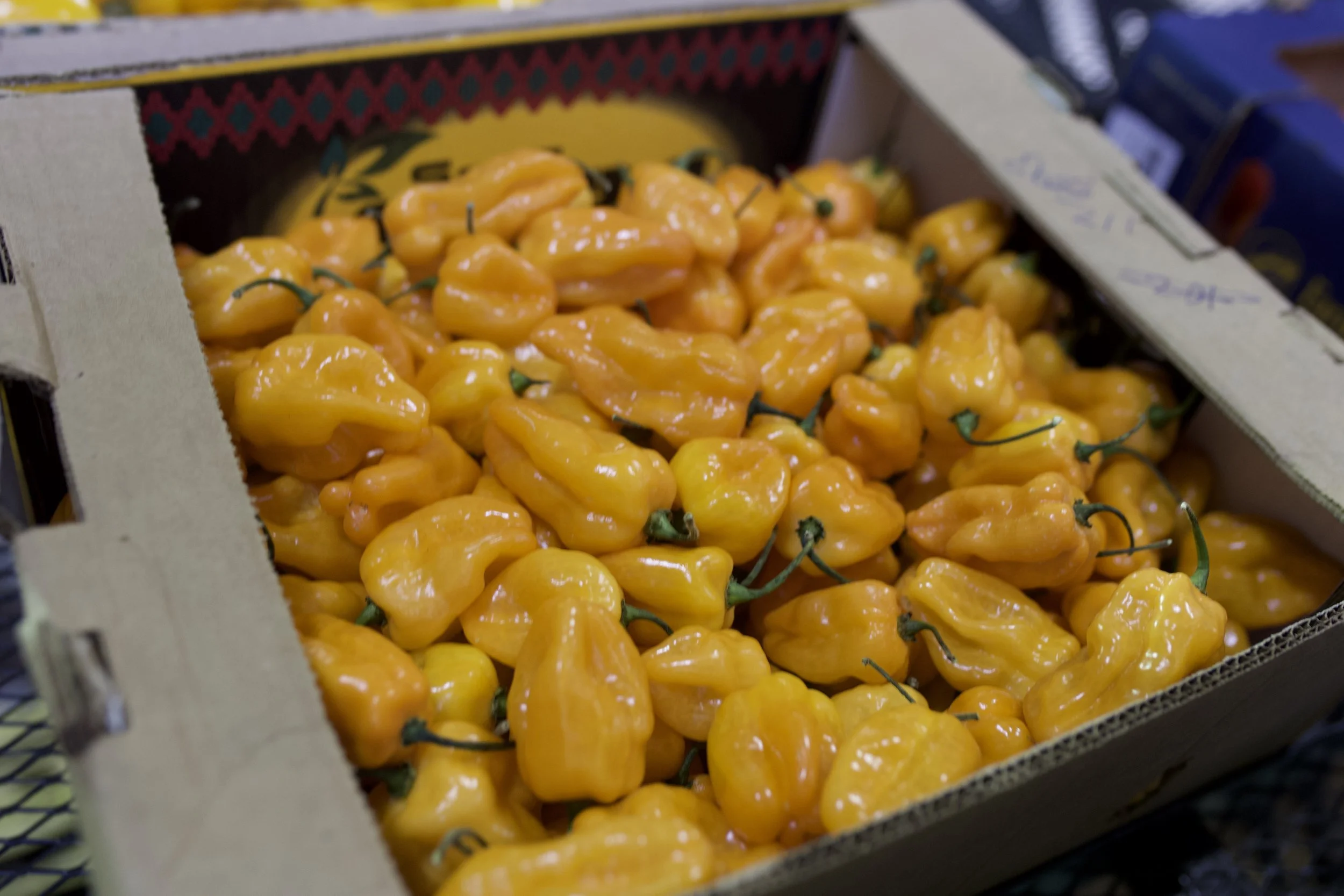 Gallery — Select Fresh Produce Inc.