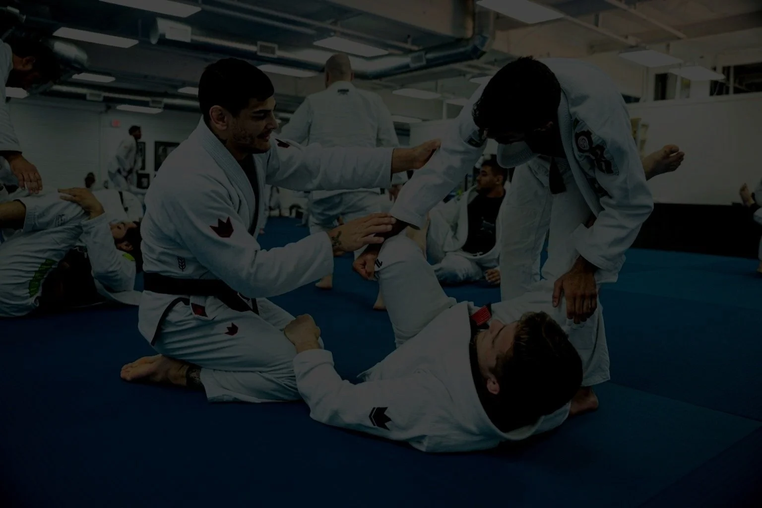 Atos BJJ On Demand | Online Jiu Jitsu Classes | Individual Courses